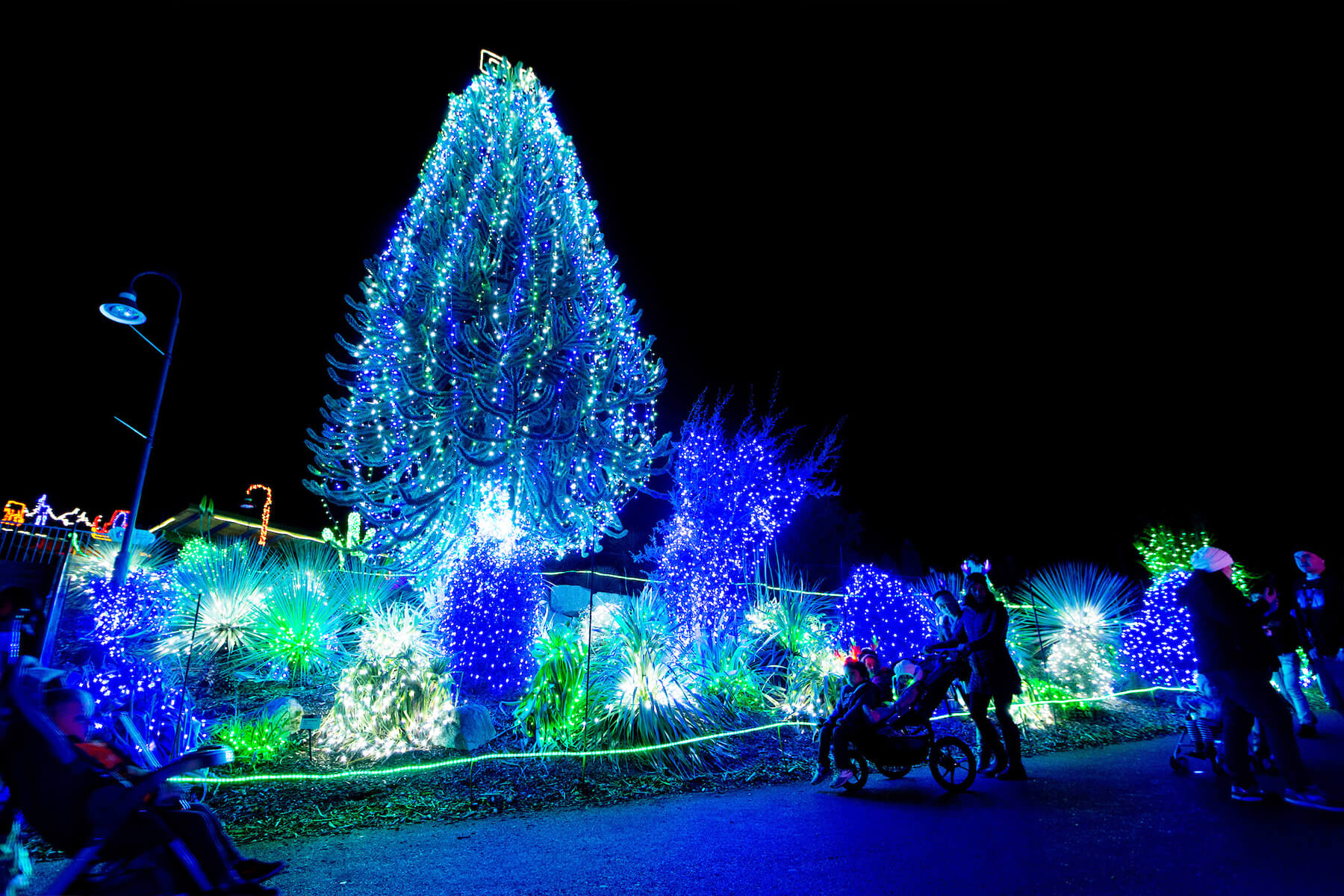 More than 700,000 LEDs light up Point Defiance Zoolights – Itty Bitty Atlas